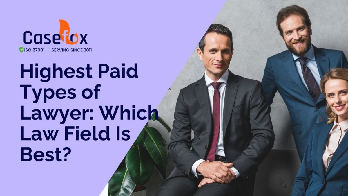Highest Paid Types of Lawyer: Which Law Field Is Best?